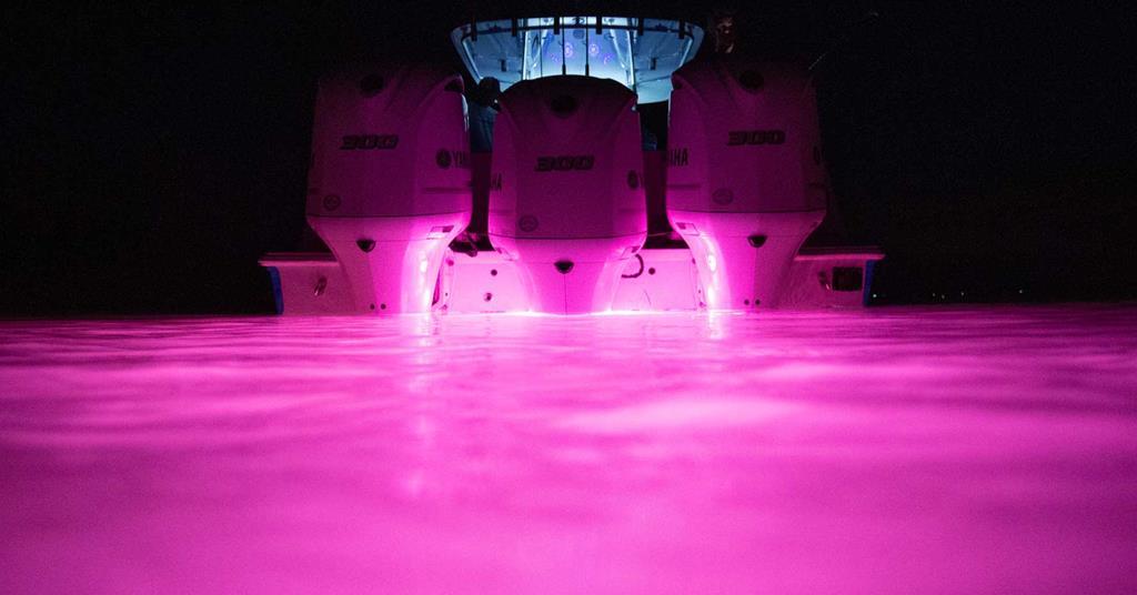 OceanLED OceanBridge multizone lighting controller explained ...