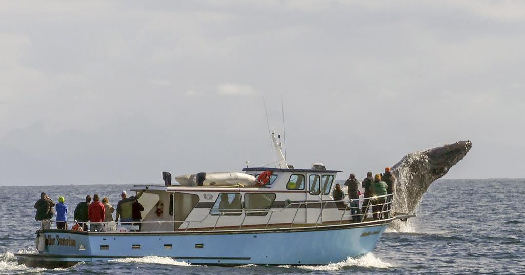 Lookout appoints western US partners | News | International Boat Industry