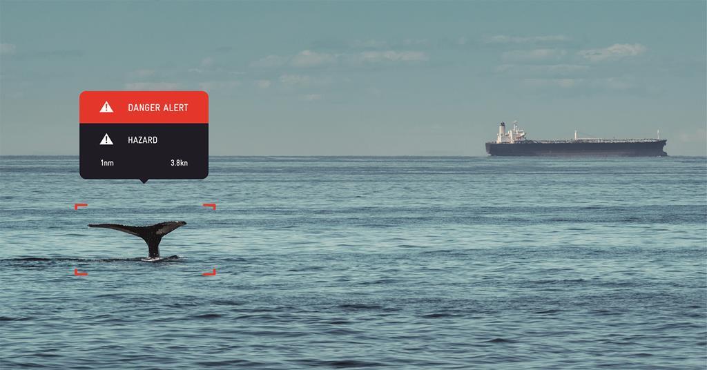 Sea.AI The tireless watchkeeper | AI | International Boat Industry