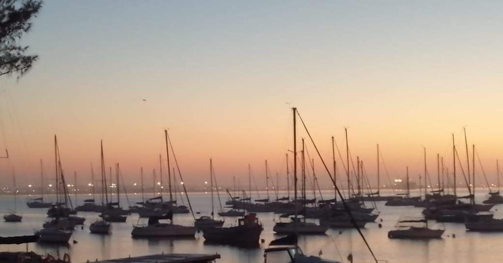 New SA ports of entry to ease Cape Town marina congestion | News ...