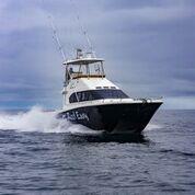 Two Oceans Marine Manufacturing expands range with new power catamaran ...
