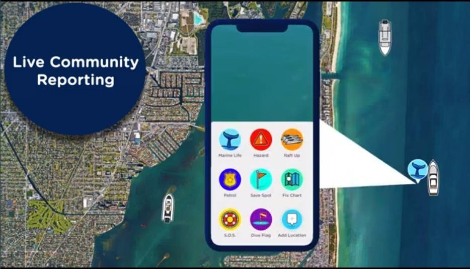 Marine navigation app could be first step in whale education ...