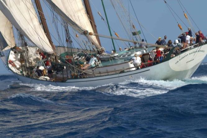 Dutch sailing crew rescues 15 from sinking Bayesian | News ...