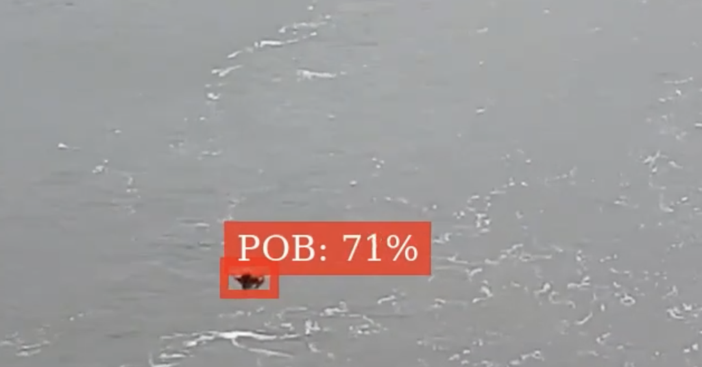 AI powered man overboard detection system | AI | International Boat ...