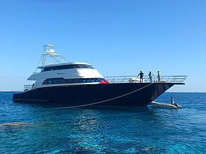 Large sportfisher launches in Egypt | Article | International Boat Industry