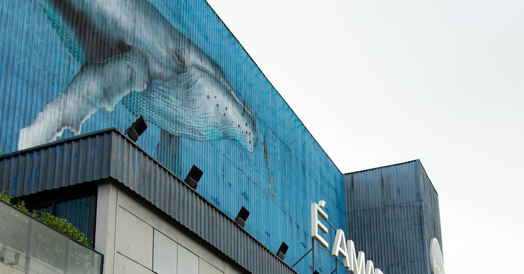 Brazilian builder appoints Italian exec as president | News ...