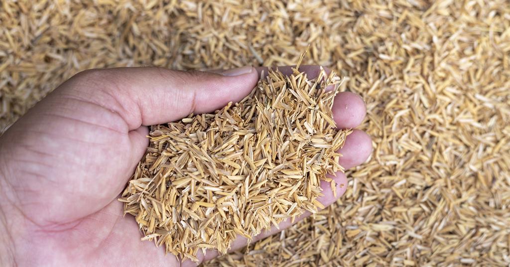 Batteries made from rice | Battery Technologies | International Boat ...