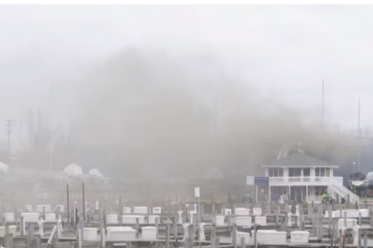 US marina fire causes “millions” in damage | News | International Boat ...